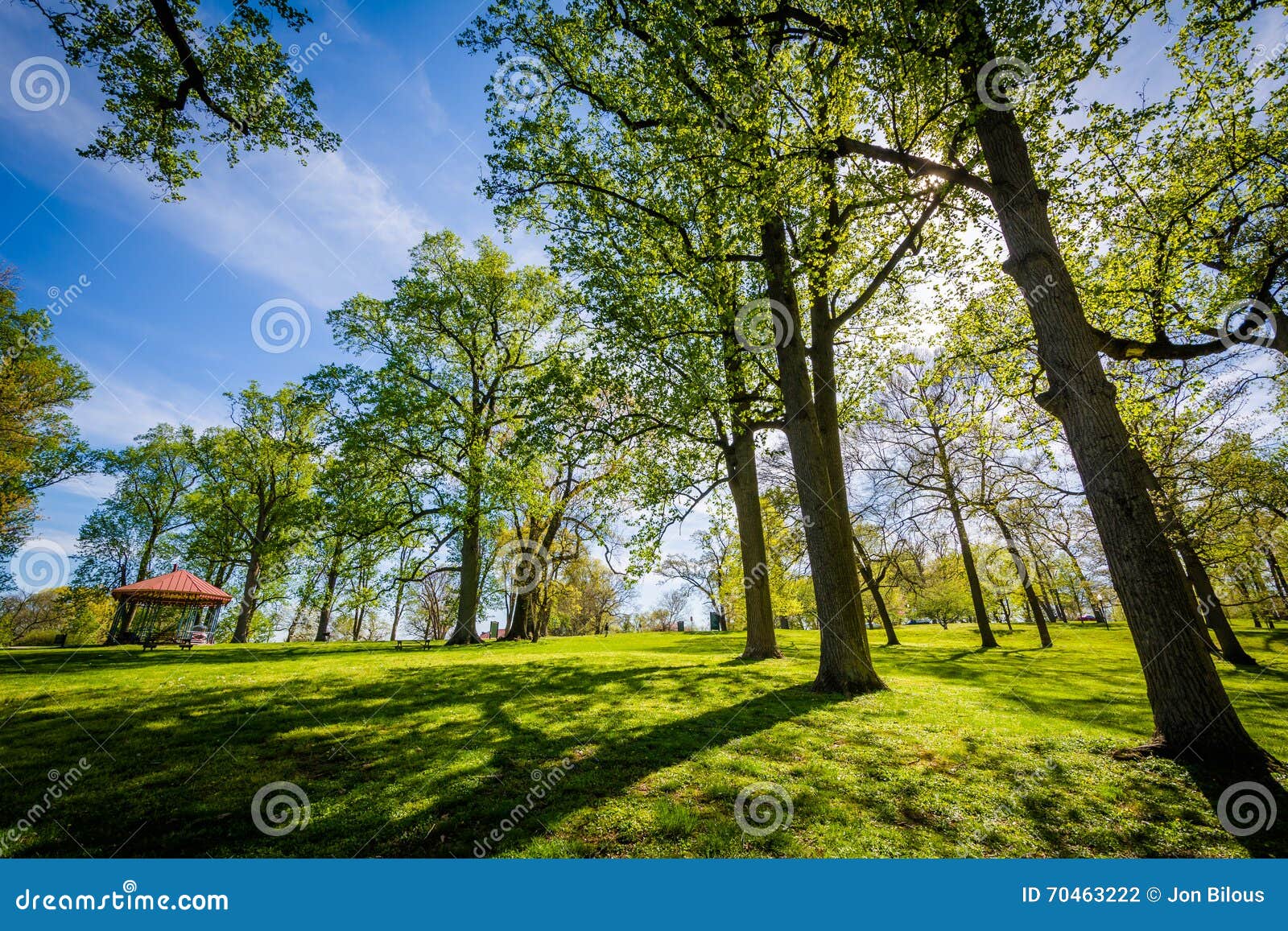 The Sun Shining through Trees at Druid Hill Park, in Baltimore, Stock ...
