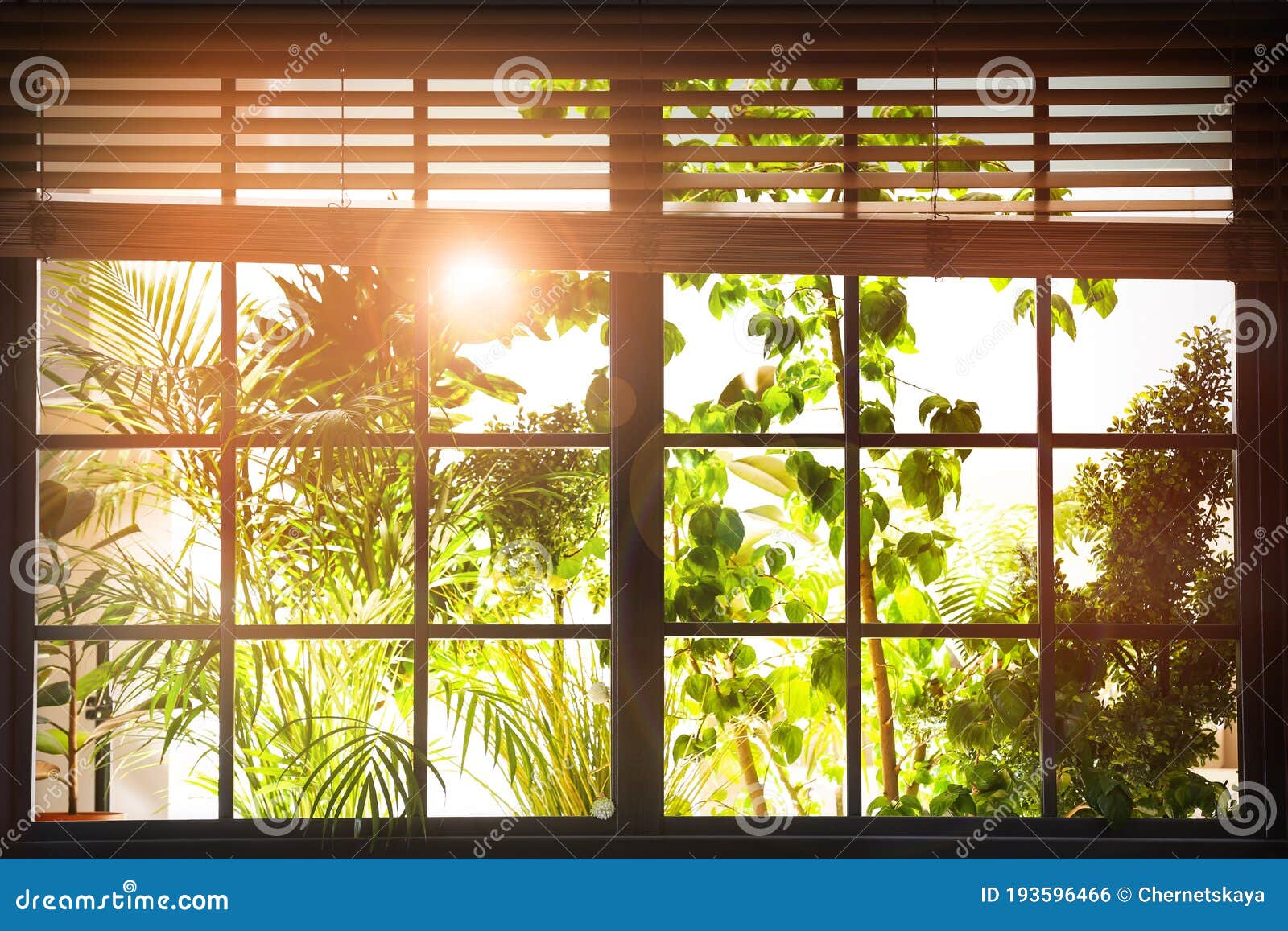 Sun Shining through Window in Morning Stock Photo - Image of pattern ...
