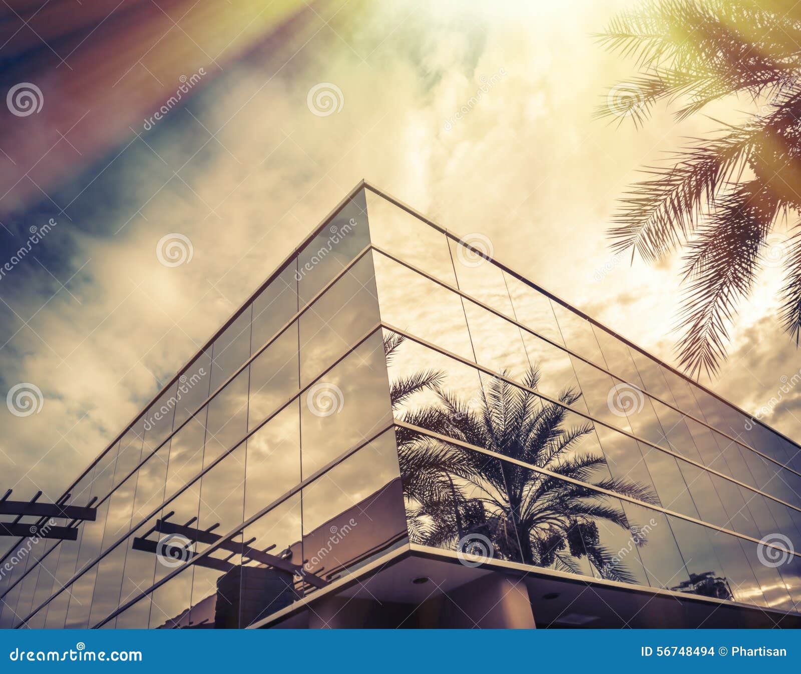 Sun Shining on Window of Office with Palm Tree Reflecting in Glass ...