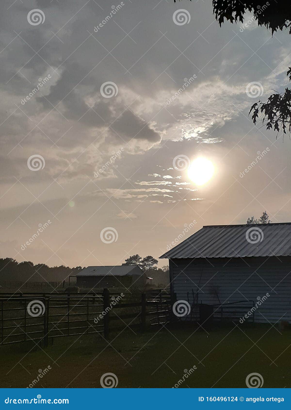 Sun Shinning after Rainstorm Beautiful Evening Over Stock Photo - Image ...