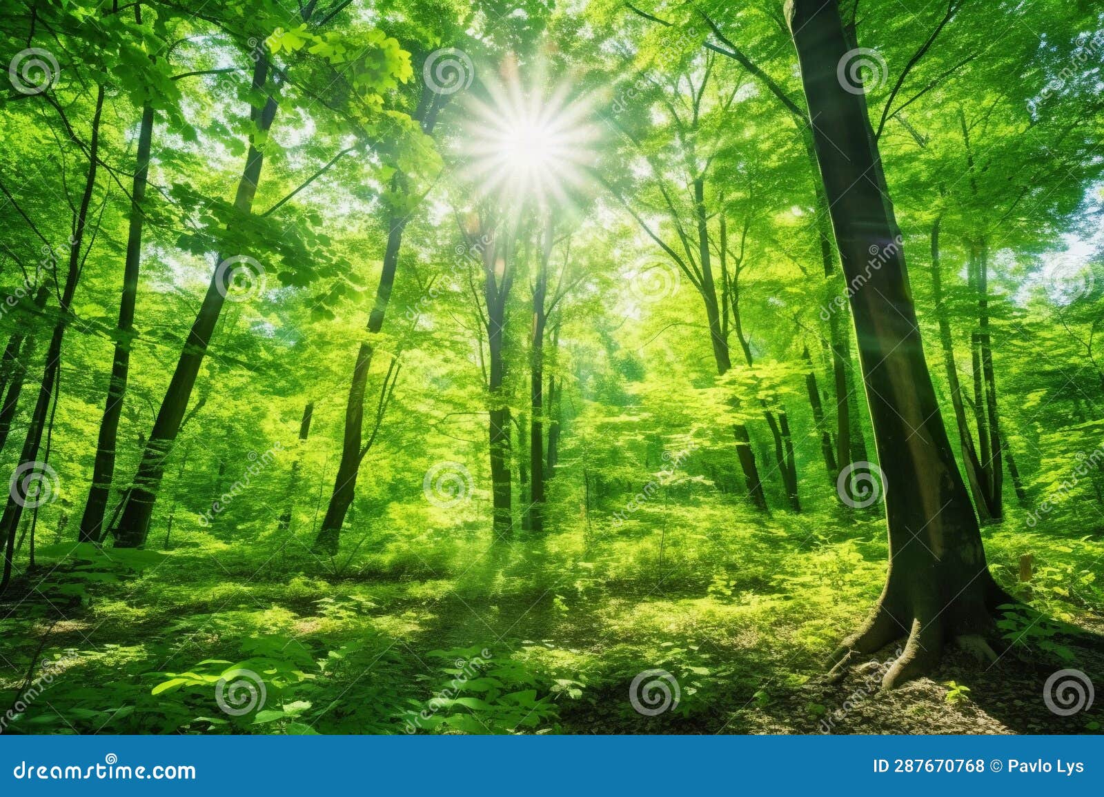 Sun Shinning through the Thick Forest in Summer Stock Illustration ...