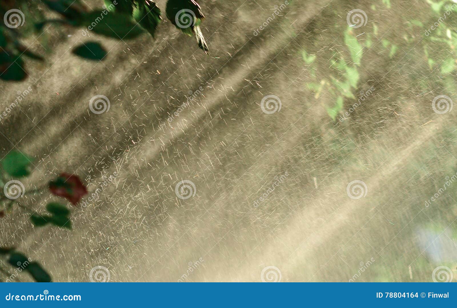 Sun Shower Water Spray Background Stock Photo - Image of rays ...