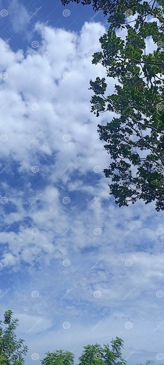 Sun sine under cloud stock photo. Image of fresh, mood - 341084580