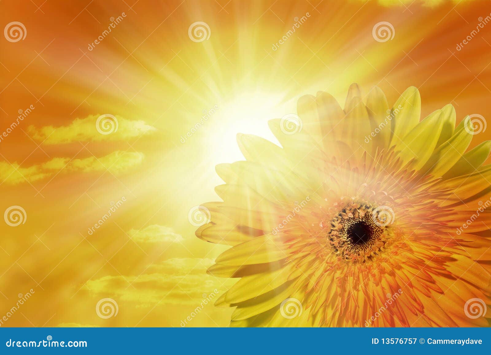 Genesis - Sun Rays Coming Through The Clouds Stock Image ...
