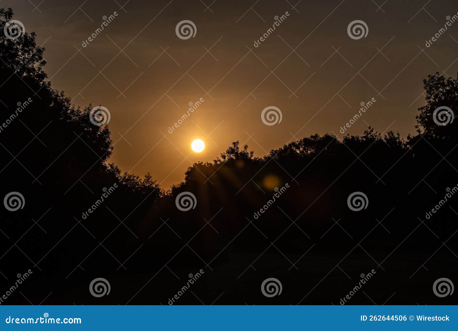 Sun in the Sky during Sunset Behind Trees Stock Photo - Image of ...