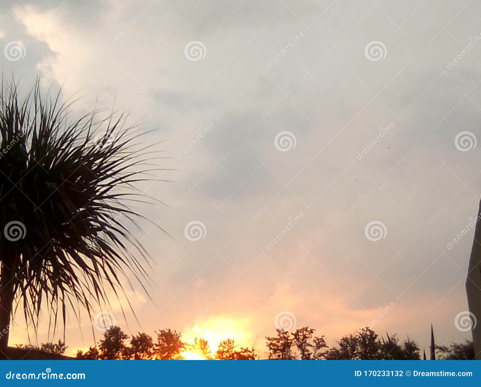 Sun sky tree cloud set stock photo. Image of tree, cloud - 170233132
