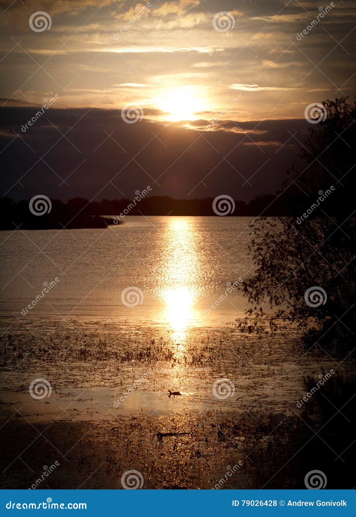 Sun sleep stock photo. Image of sleep, lake, sunset, beautiful - 79026428