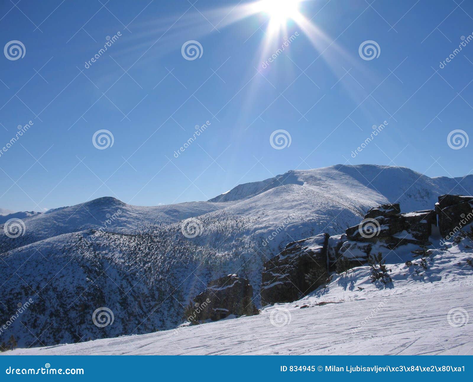 Sun and snow stock image. Image of slope, forest, landscape - 834945