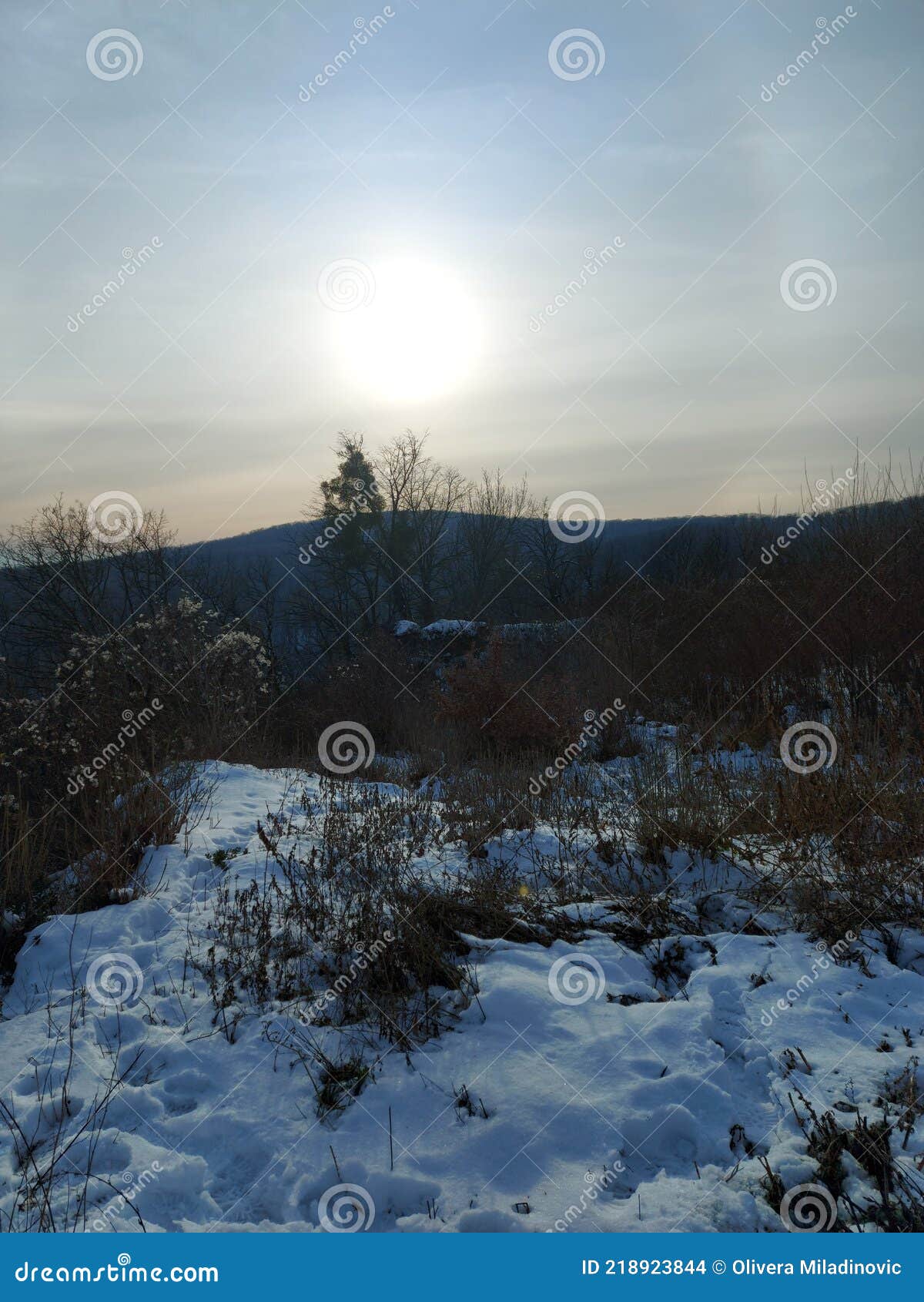 Sun and snow stock photo. Image of sunlight, snow, fruskagora - 218923844