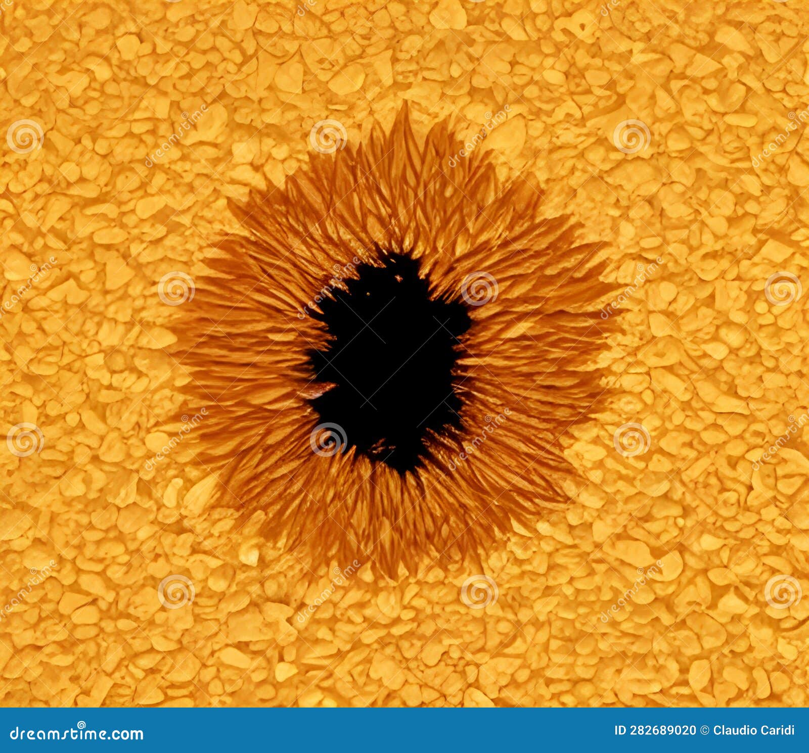 The Sun. Solar Surface with Black Spots. Close-up. Generative AI Stock ...