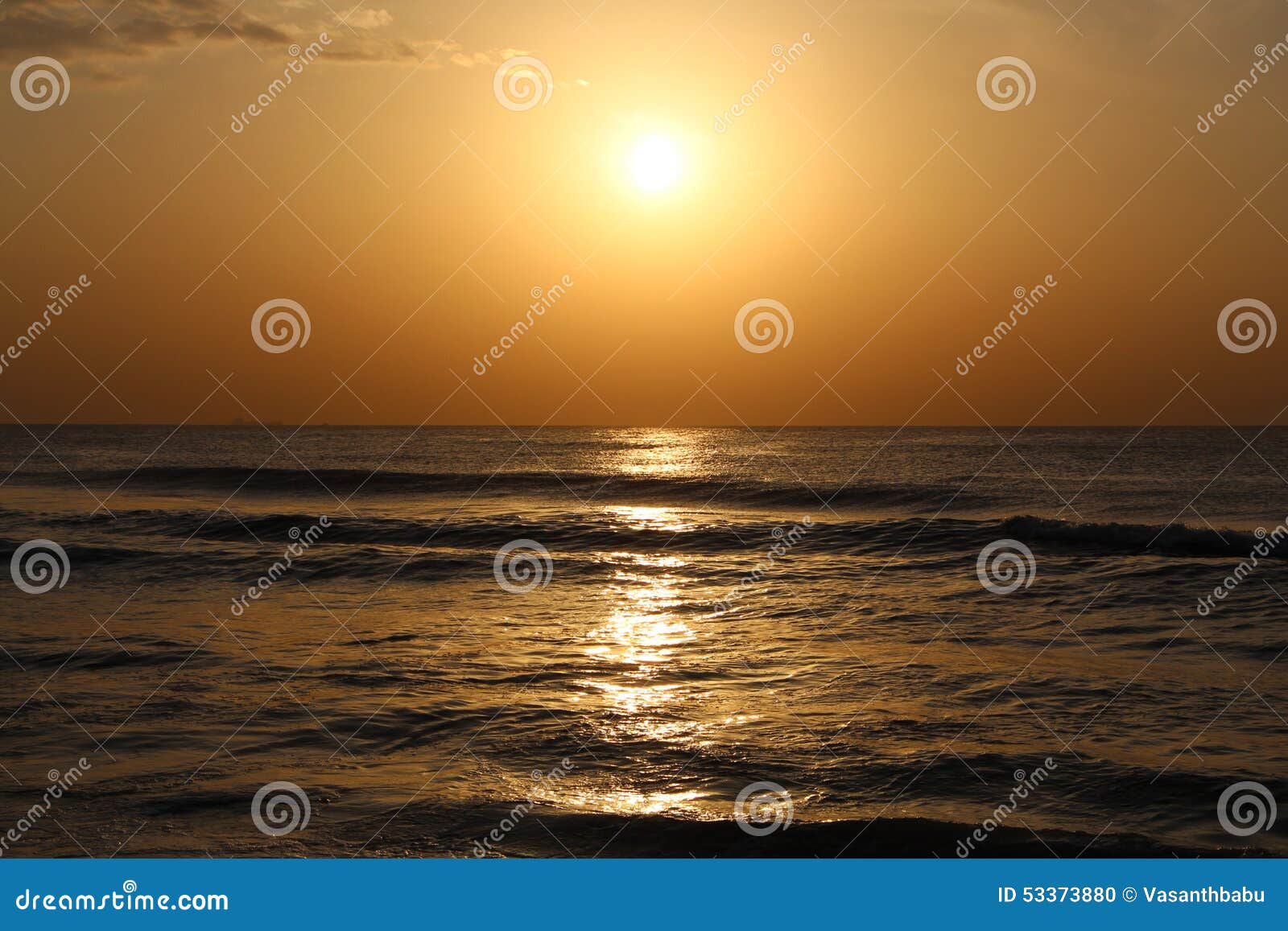 Sun sun rice stock photo. Image of show, showing, looks - 53373880