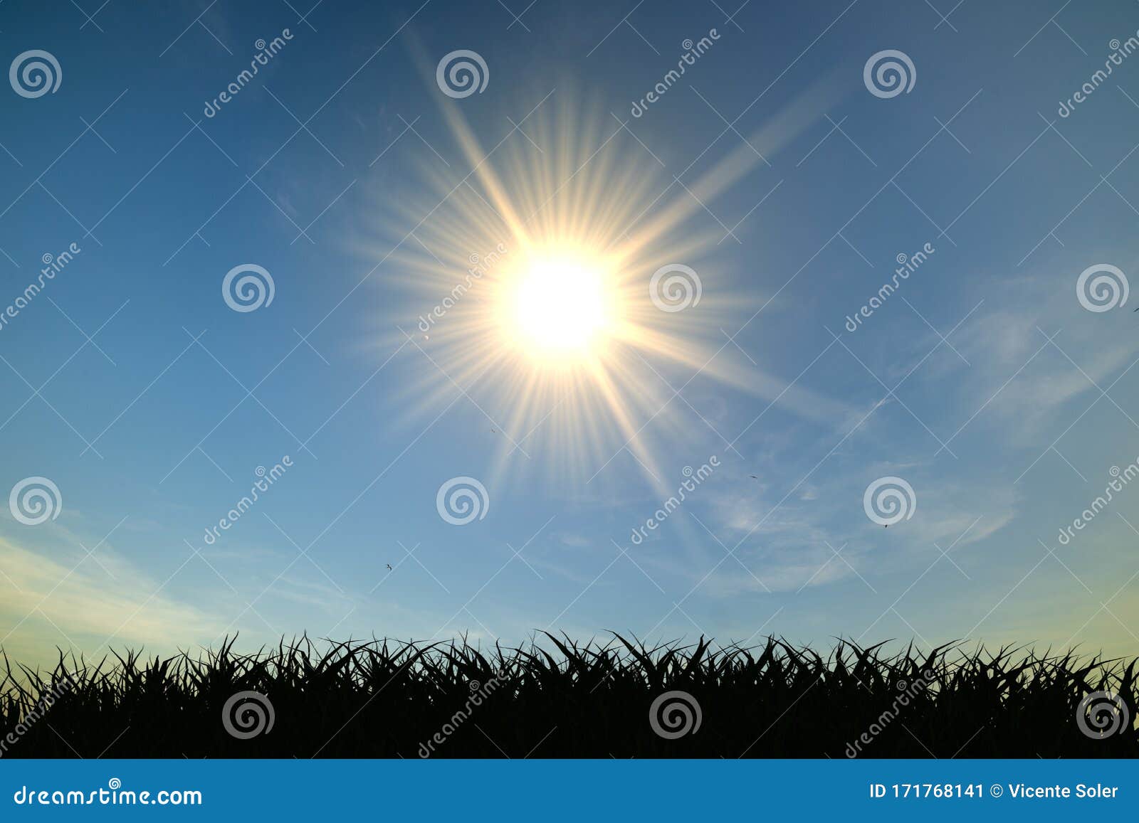 The Sun at Sunset on the Mountain a Clear Day Stock Image - Image of ...