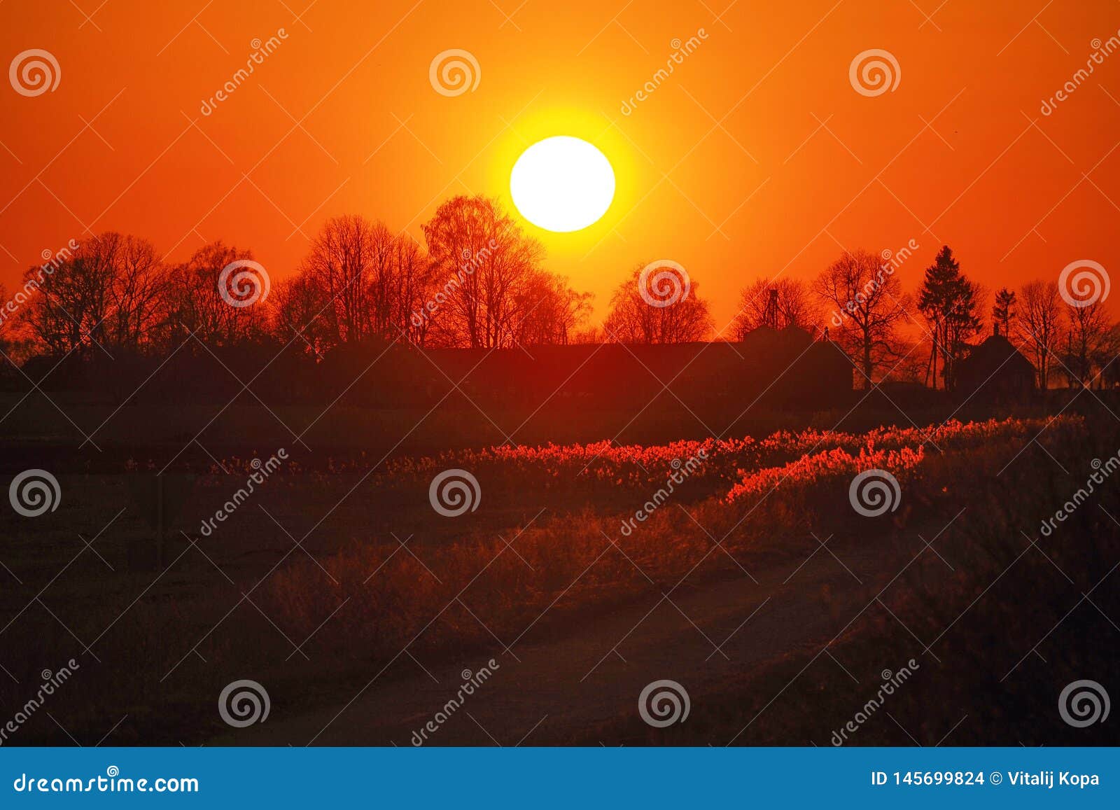 Sun and Sunset Orange Sky Over Forest Stock Photo - Image of river ...
