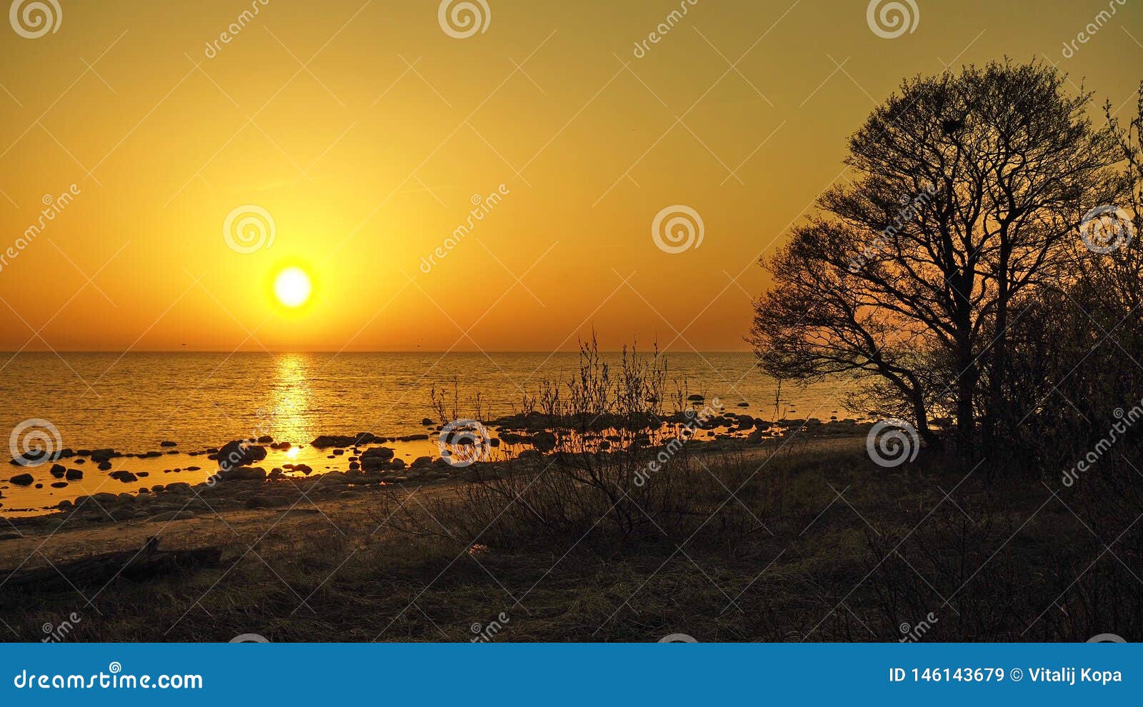 Sun and Sunset Orange Sky Over Tree Stock Image - Image of astro, swamp ...