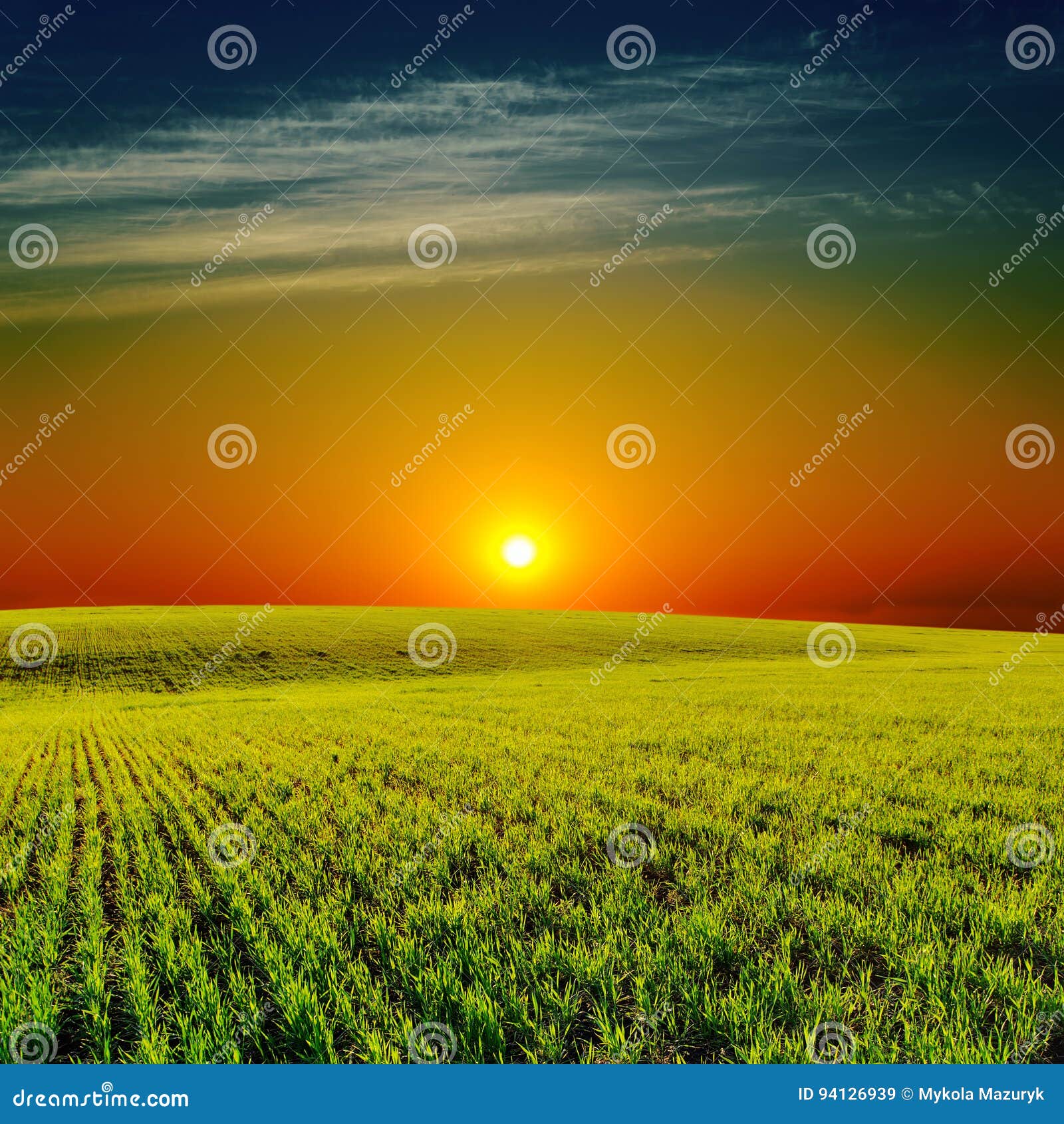 Sun in Sunset Over Green Field Stock Image - Image of summer, green ...