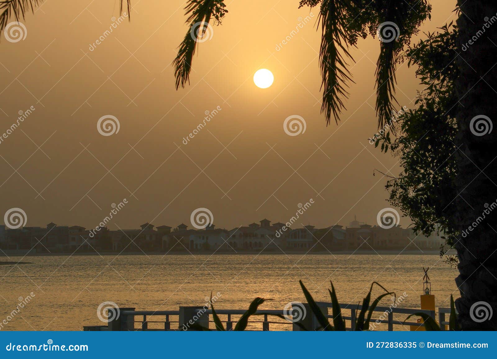 The Sun during Sunset Over the Houses among the Branches of Palm Trees ...