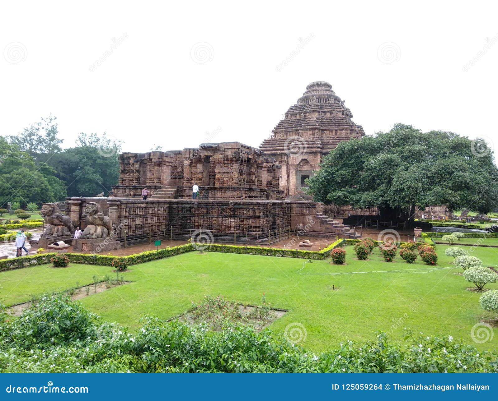 Sun temple side view 1 stock photo. Image of temple - 125059264