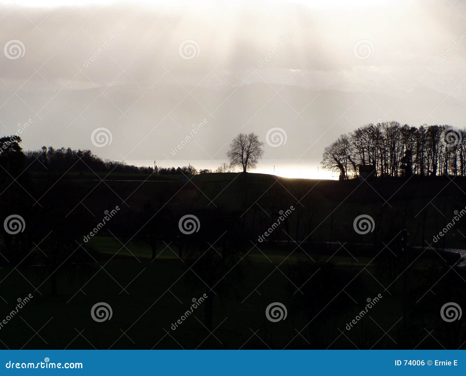 Sun though the haze stock photo. Image of winter, water - 74006