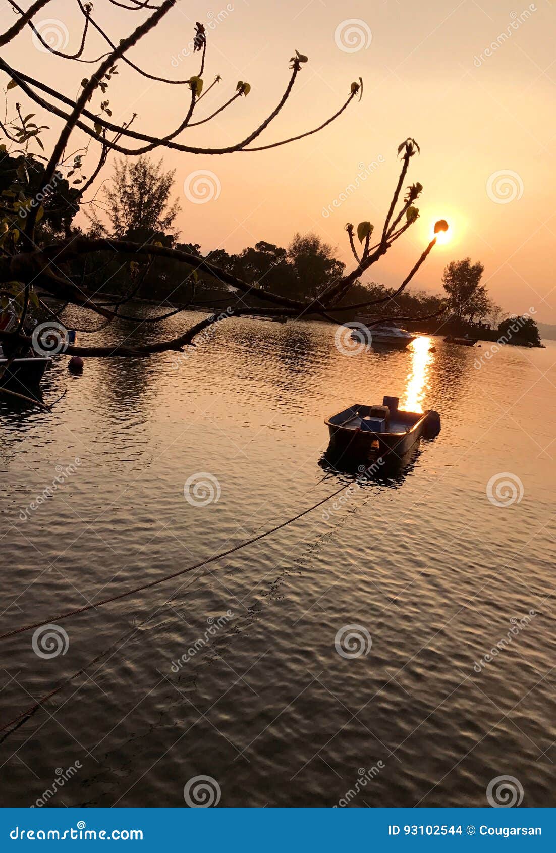 Sun, Tree and Fishing Boat on Lake at Sunset Stock Photo - Image of ...