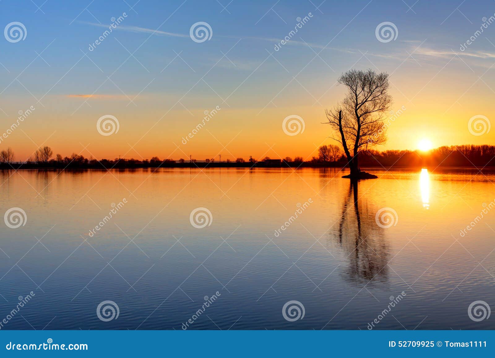 Sun and tree in lake stock image. Image of slovakia, bright - 52709925