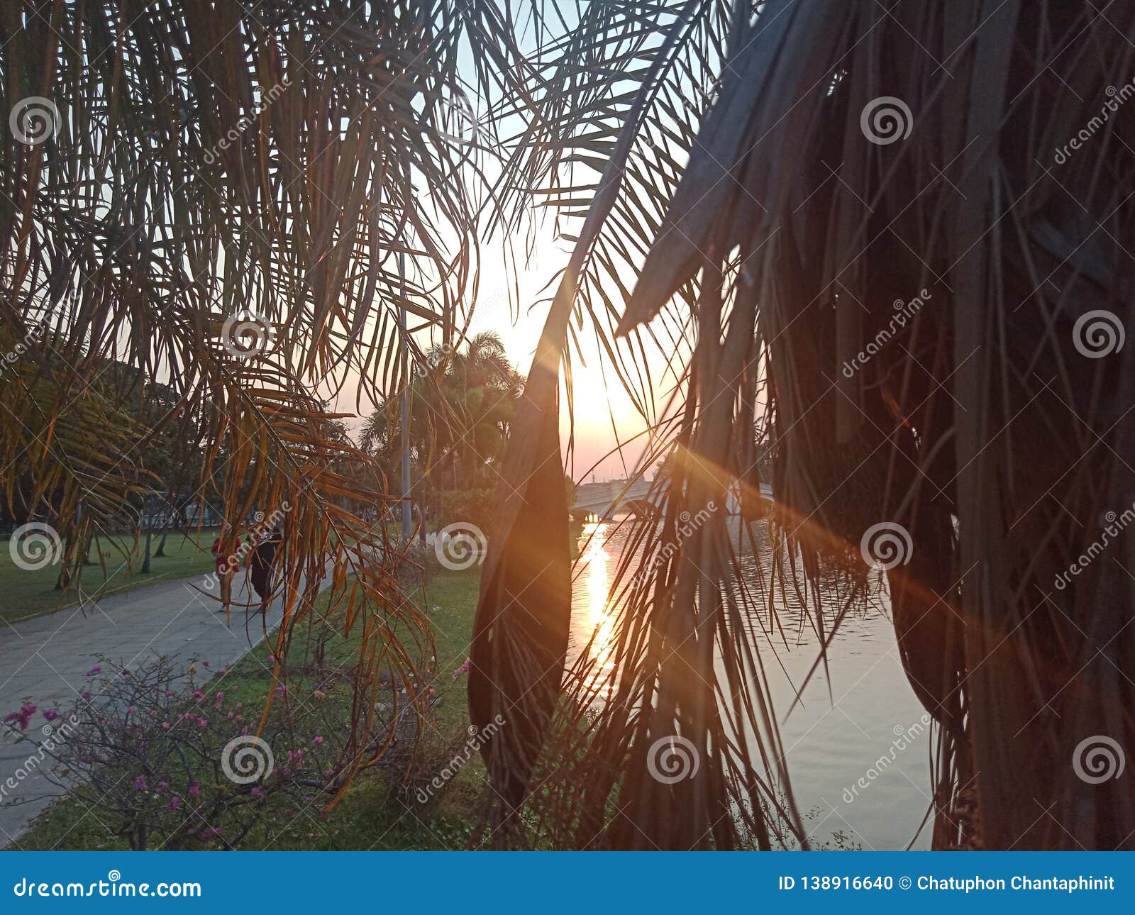 The Sun stock photo. Image of walk, light, street, tree - 138916640