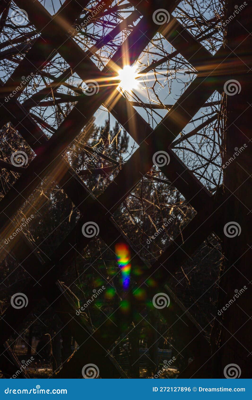 The Sun through the Trees. a Beautiful Park in Spring with the Bright ...