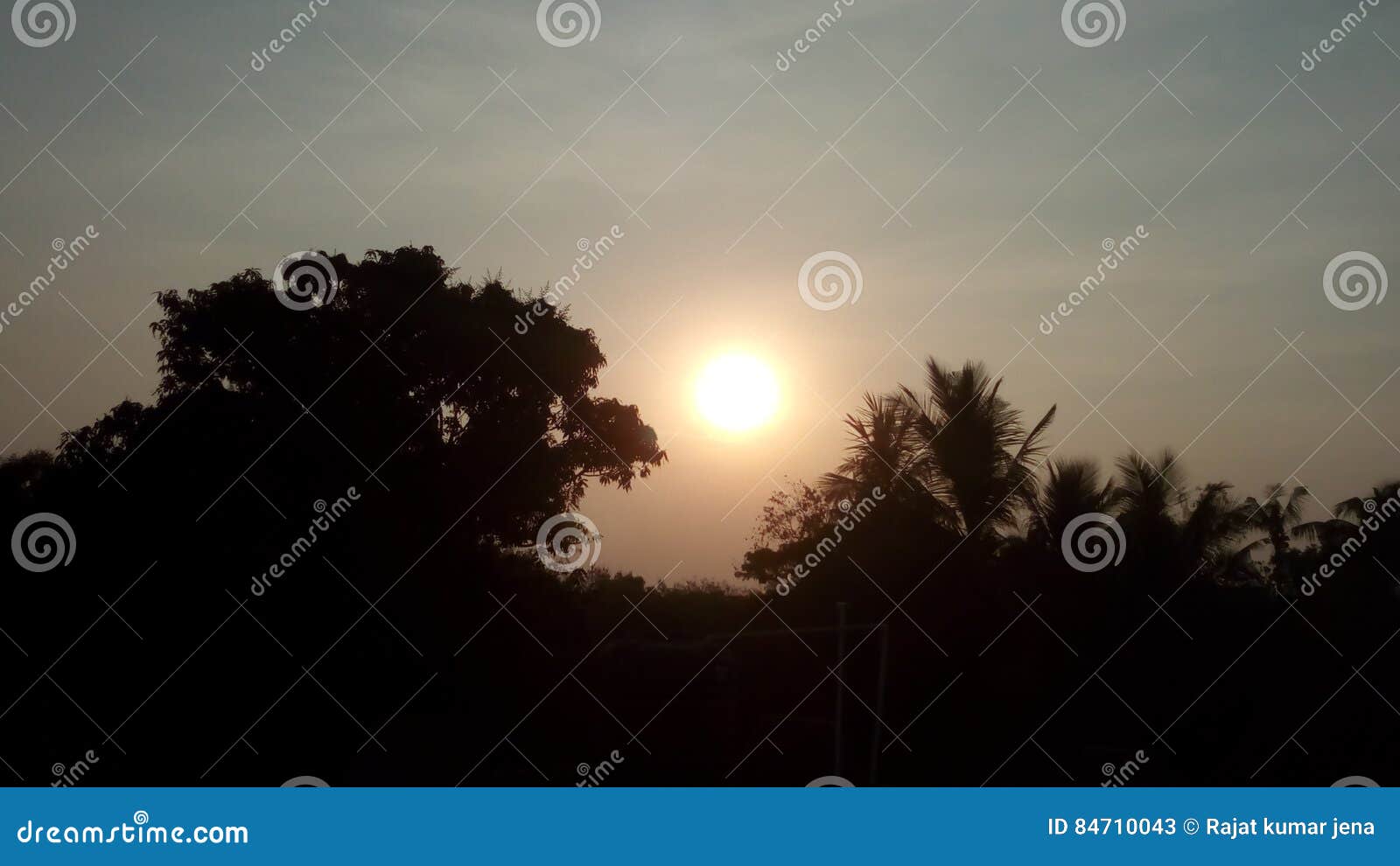 Sun & trees stock image. Image of evening, beautyfull - 84710043