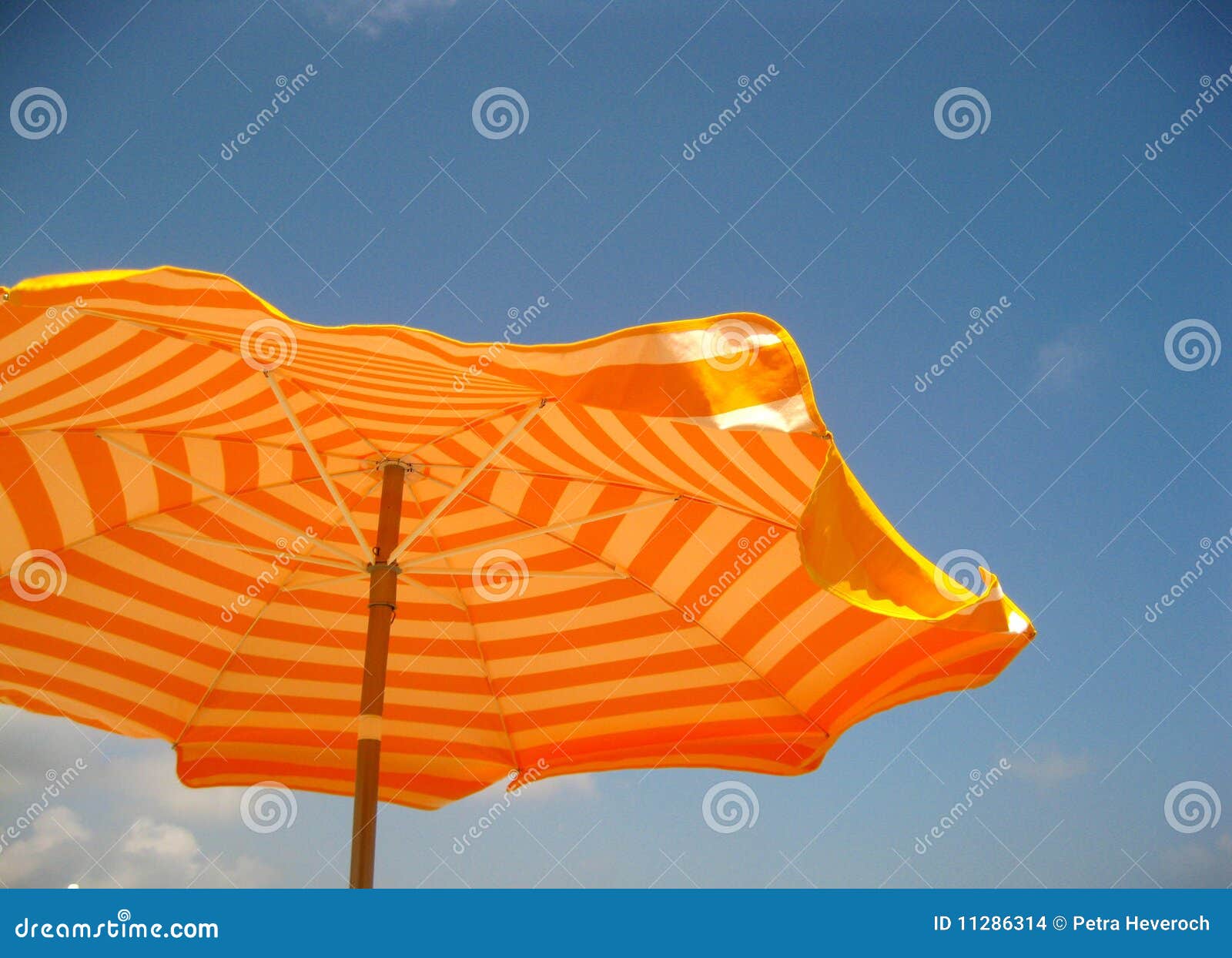 Sun umbrella in orange stock photo. Image of south, orange - 11286314