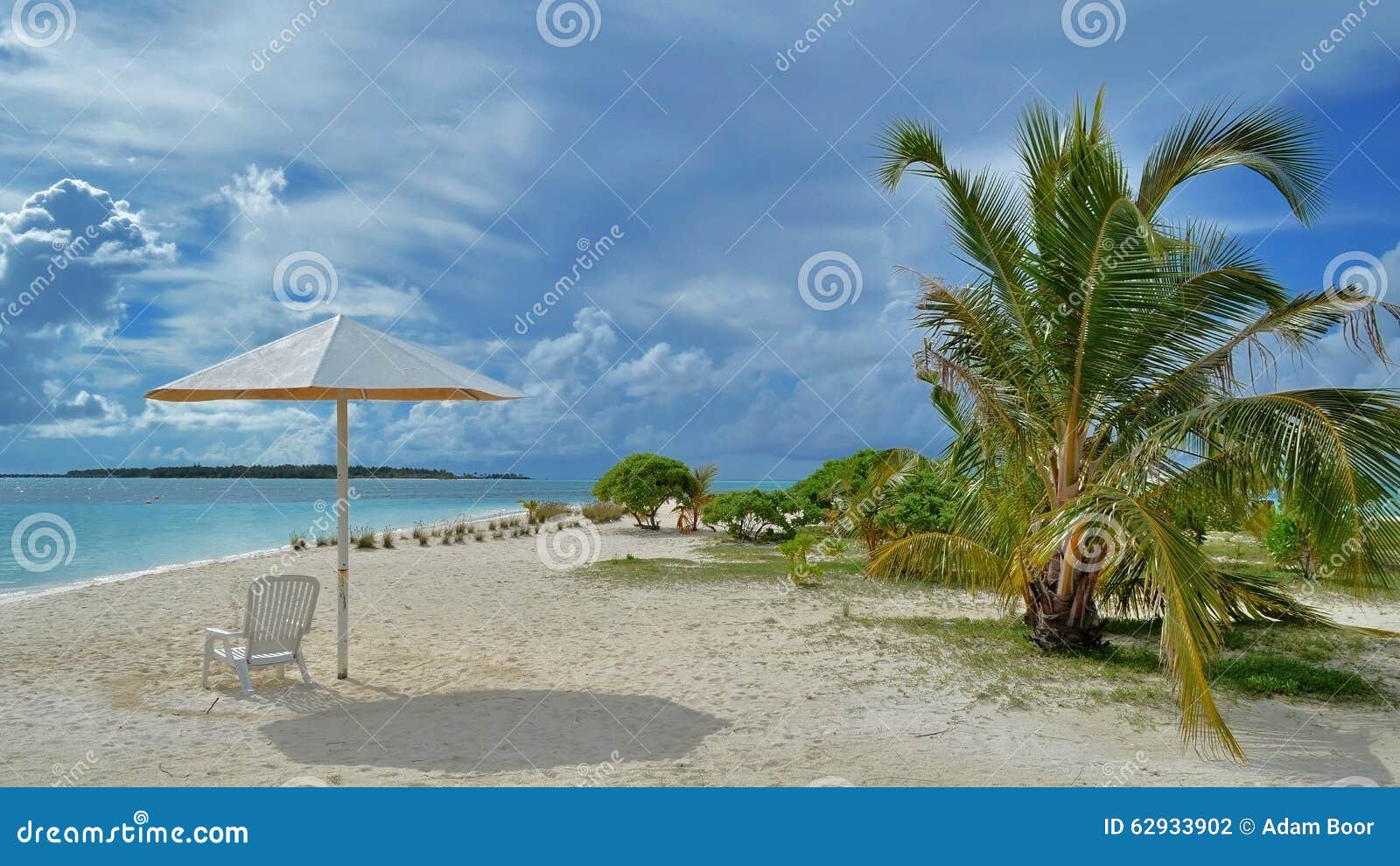 Sun Umbrella and Palm Tree at the Ocean Stock Photo - Image of paradise ...