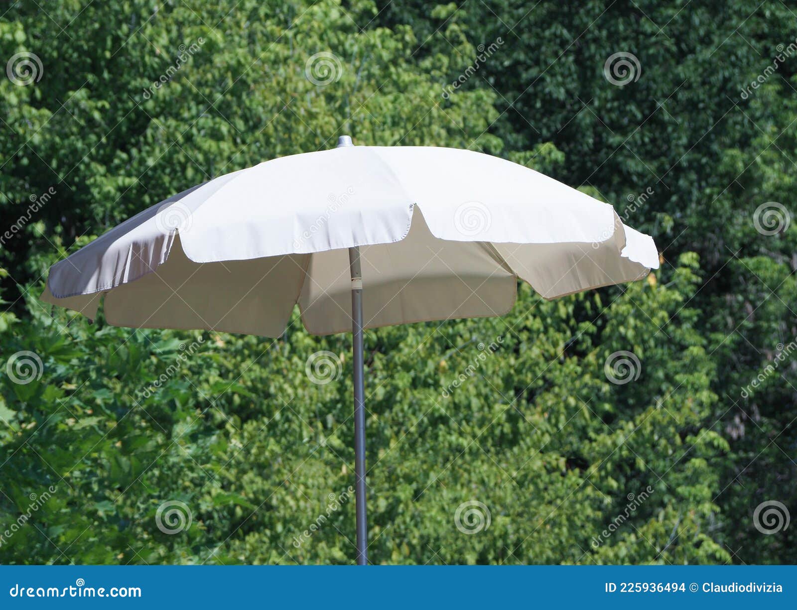 Sun umbrella with trees stock photo. Image of water - 225936494