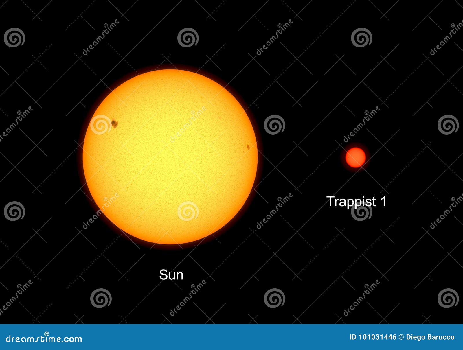 Sun- Und Trappist1 Vergleich Stock Abbildung - Illustration von ...