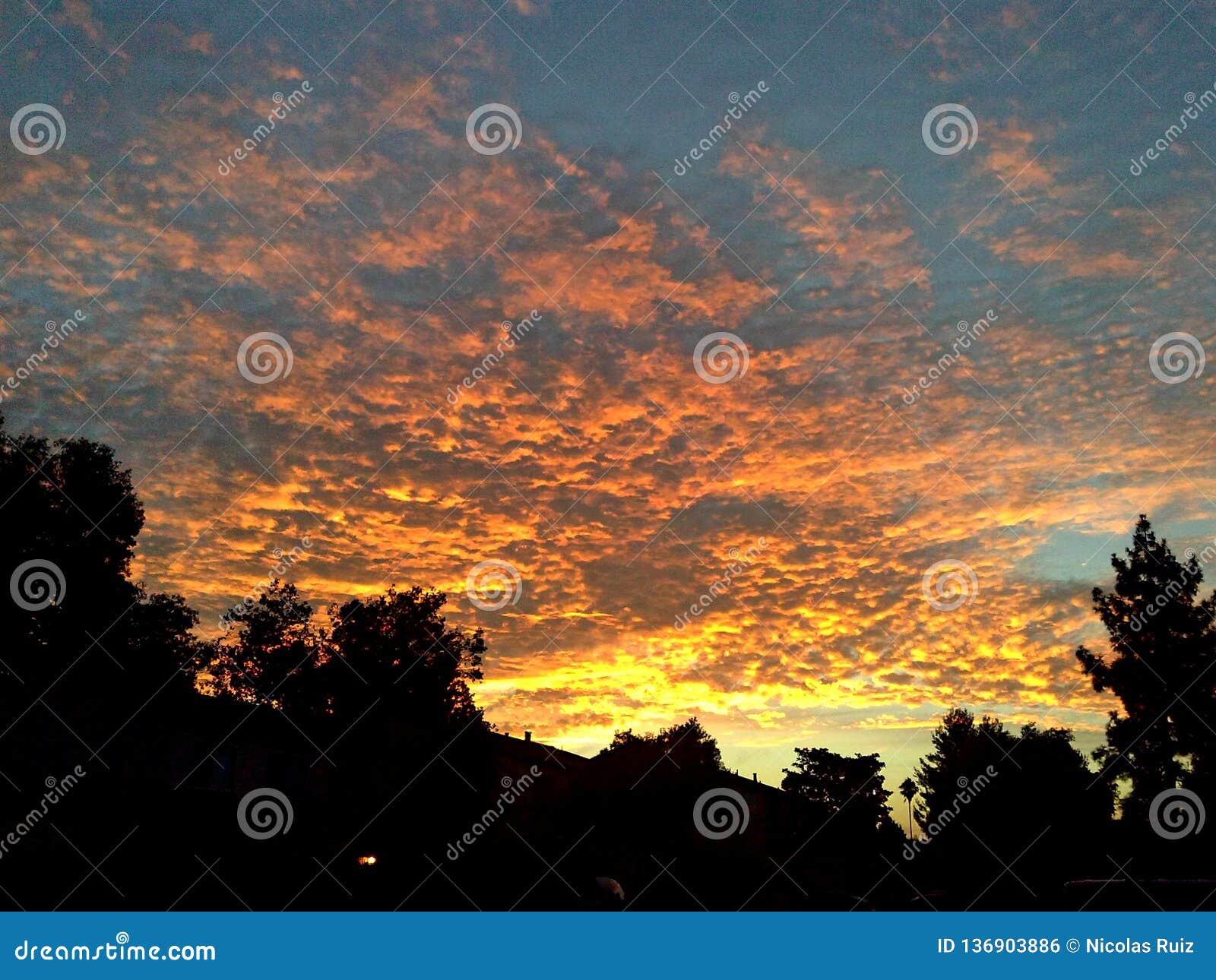 Sun stock photo. Image of sunset, night, nice - 136903886