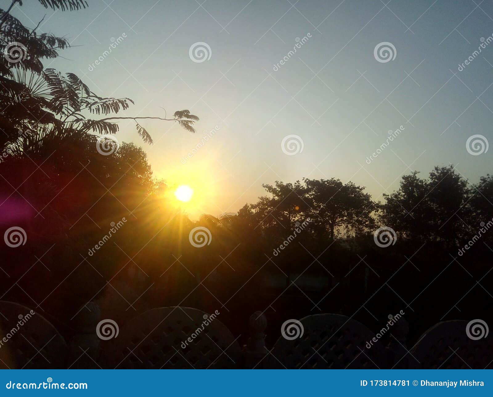 Sun waking for . stock image. Image of tree, wonderfull - 173814781