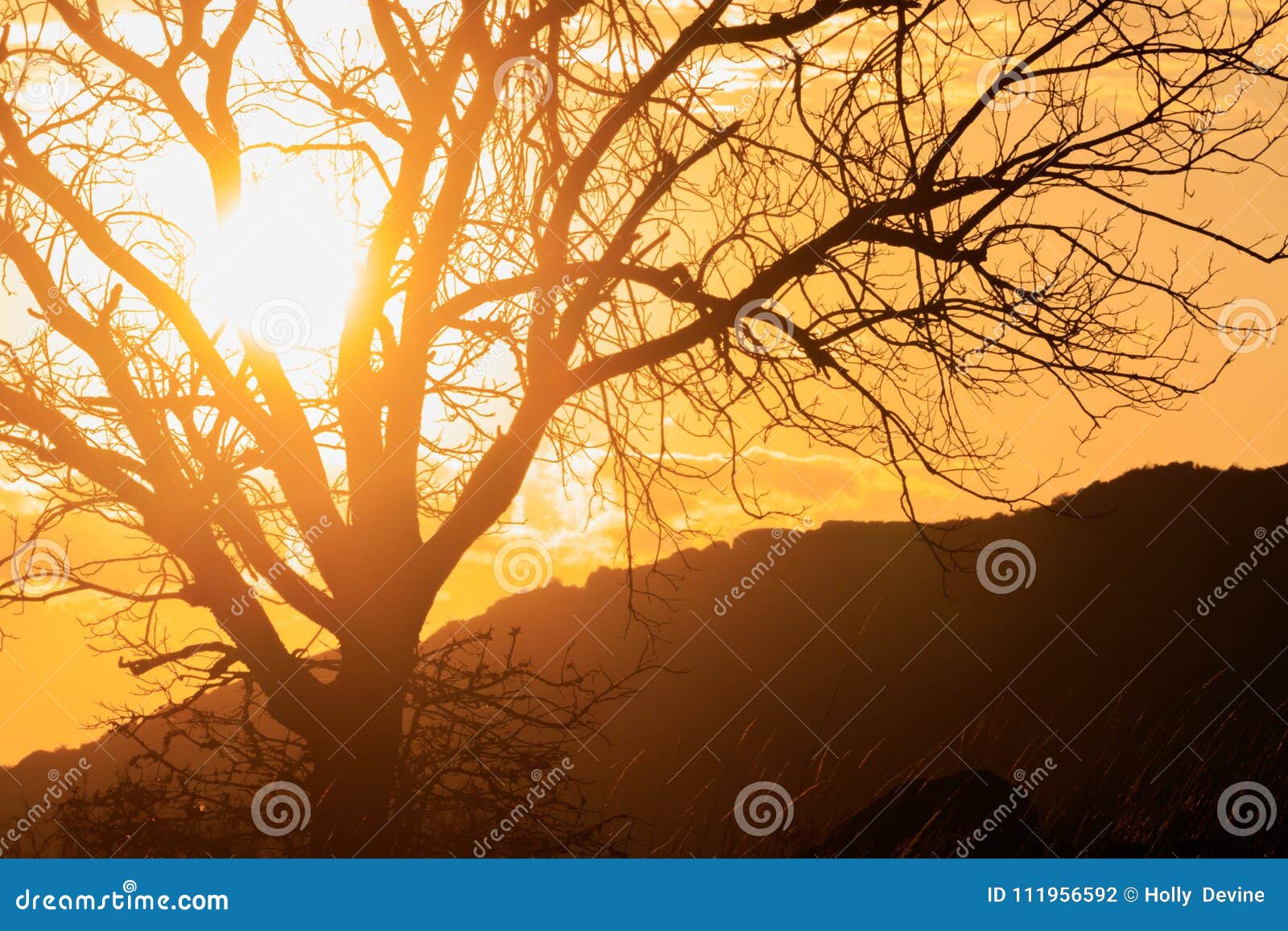 Sun Washed stock photo. Image of travel, west, wild - 111956592