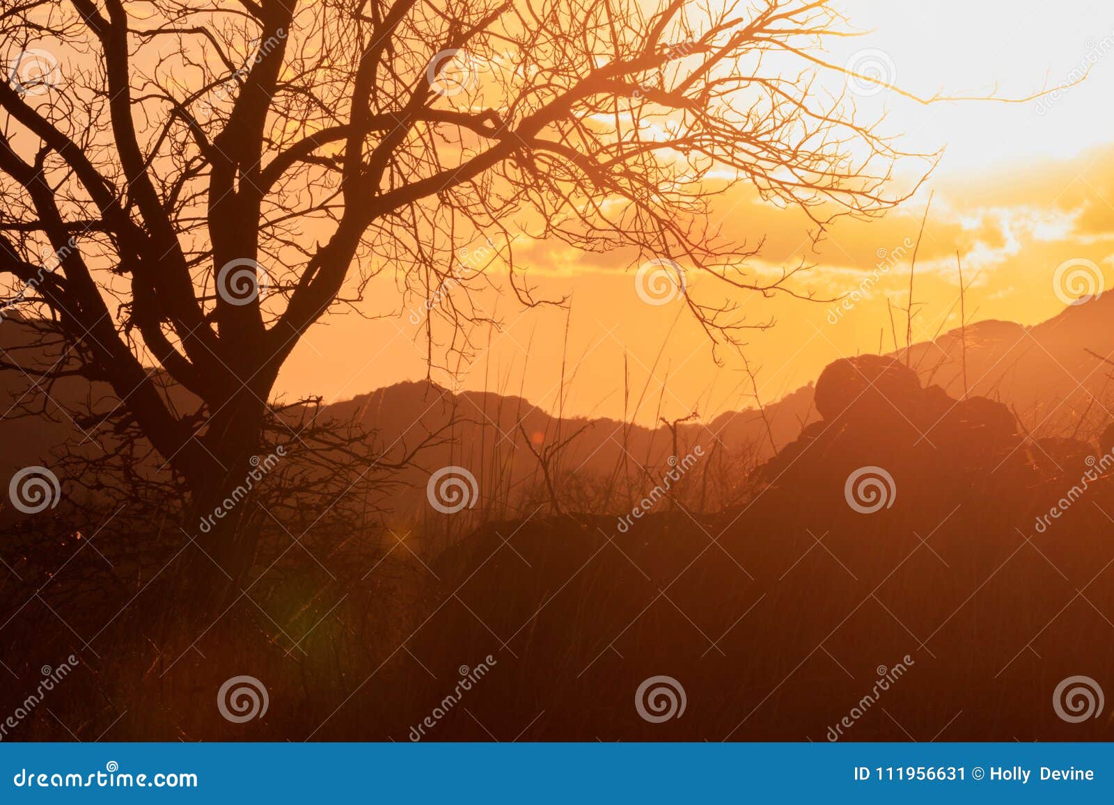 Sun Washed stock image. Image of refuge, outdoors, travel - 111956631