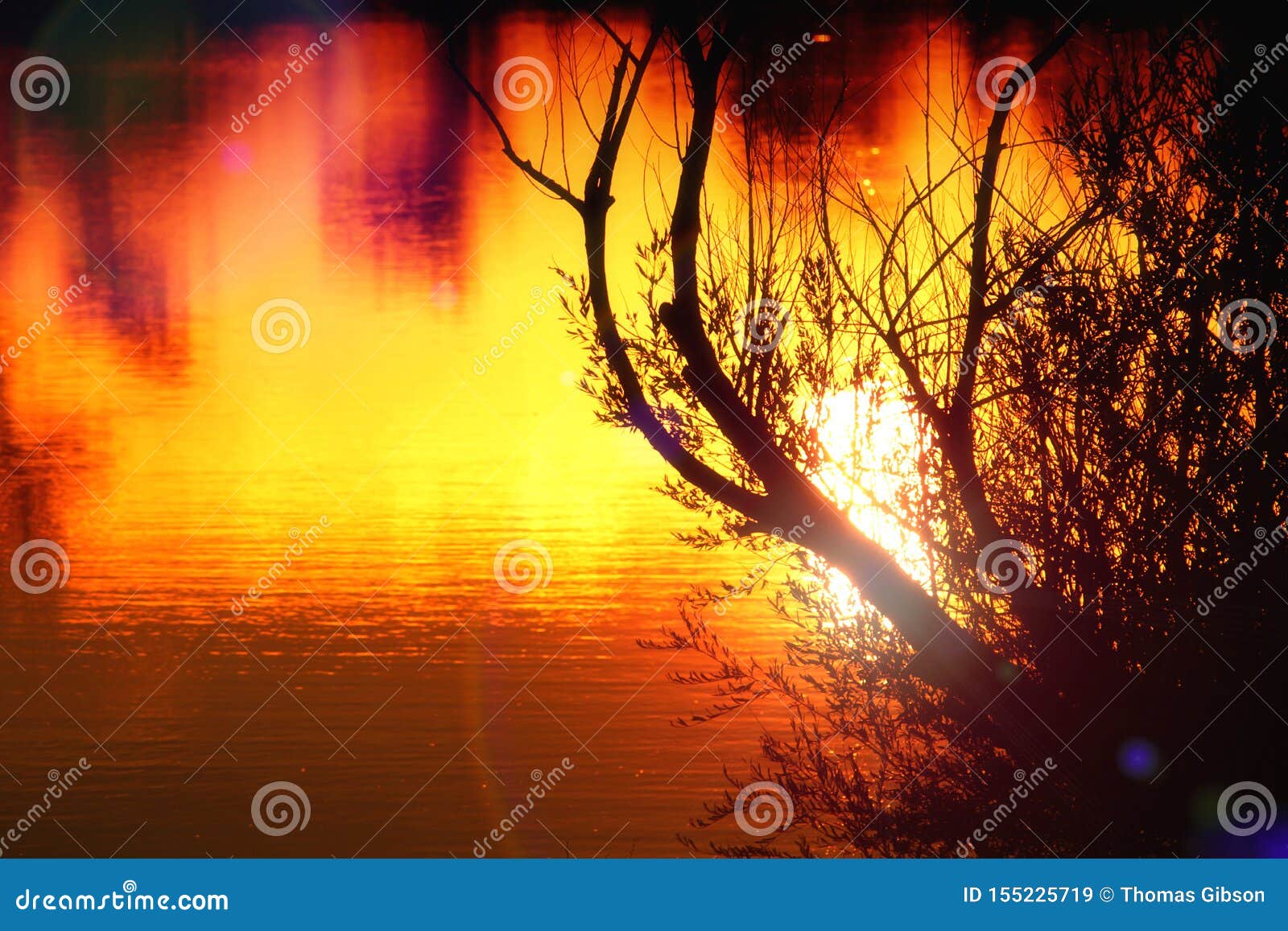 Sun on the water stock image. Image of colors, glowing - 155225719