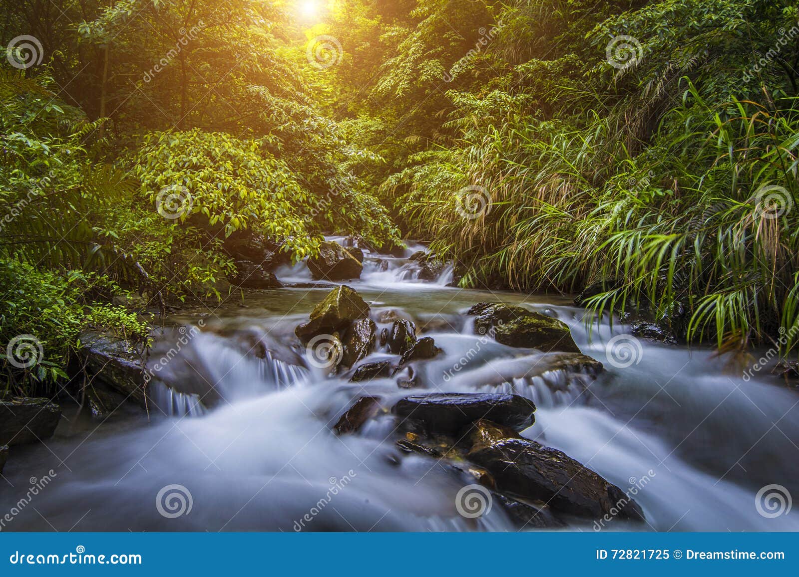Sun and waterfall stock image. Image of waterfall, forest - 72821725