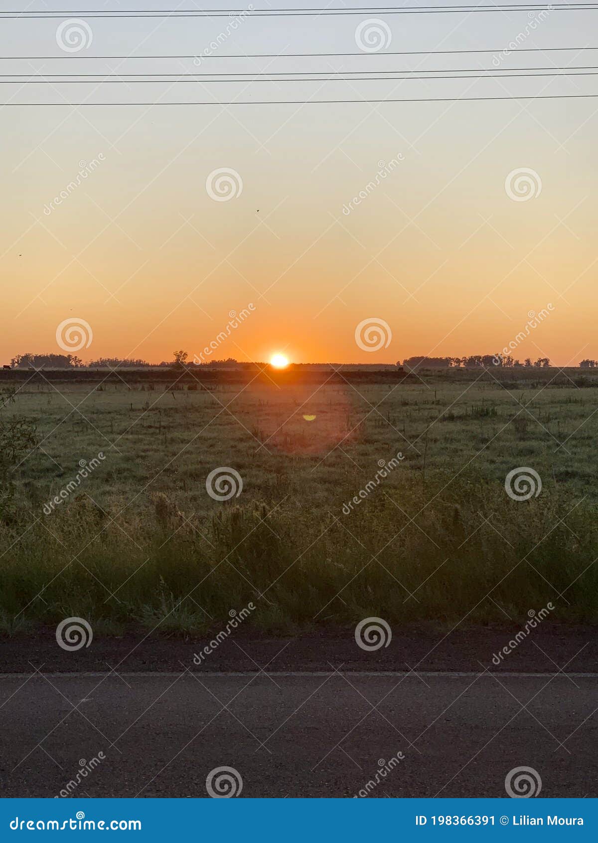 Sun wild nature stock image. Image of sunrise, wild - 198366391
