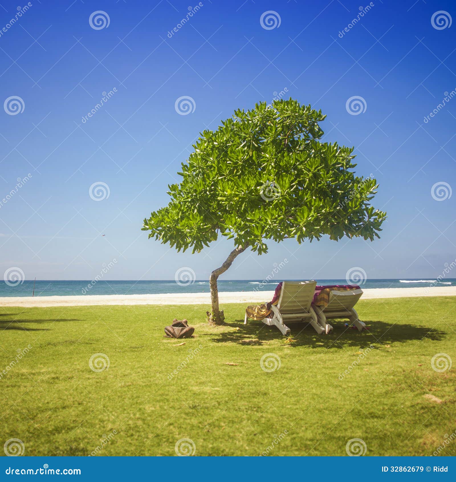 Sunbath under tree stock image. Image of caucasian, palm - 32862679