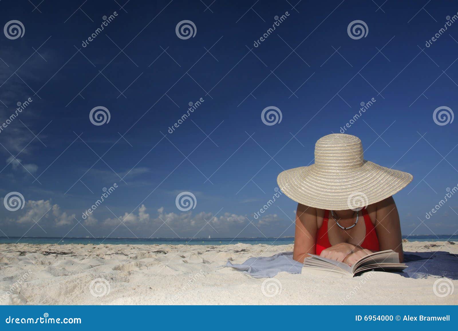 Sunbather stock photo. Image of women, luxury, holiday - 6954000