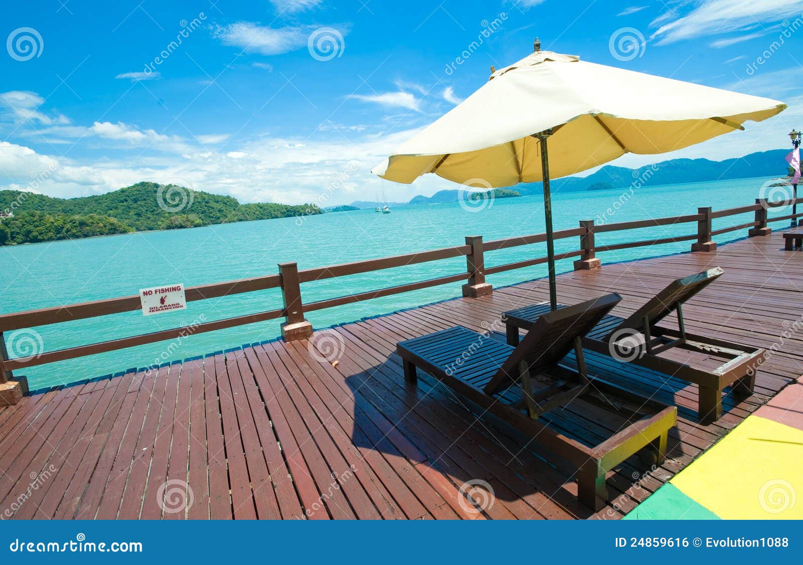 Sunbathing stock photo. Image of greenery, tourism, holiday - 24859616