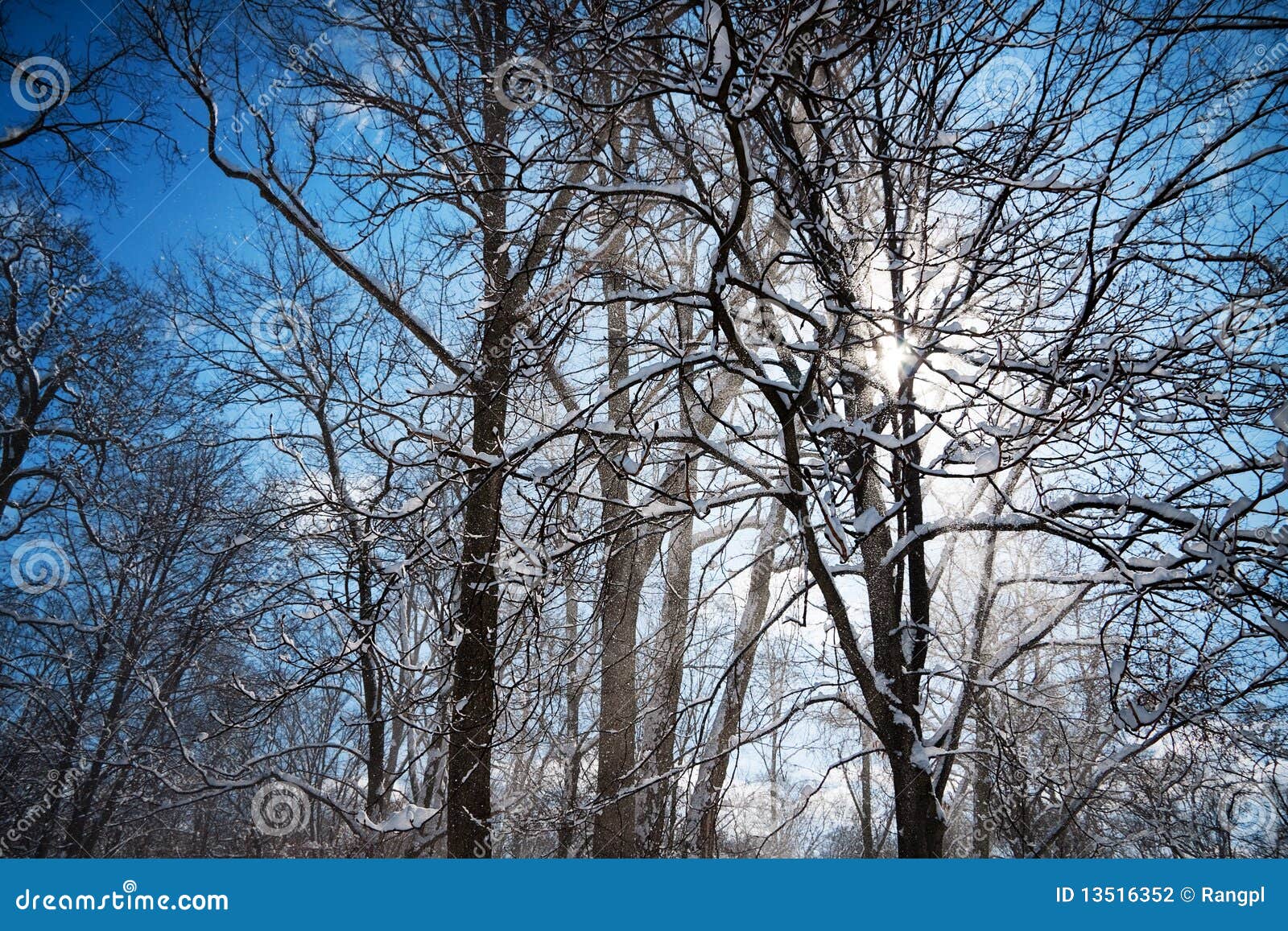 Sunbeam stock photo. Image of moody, toll, blowing, falling - 13516352
