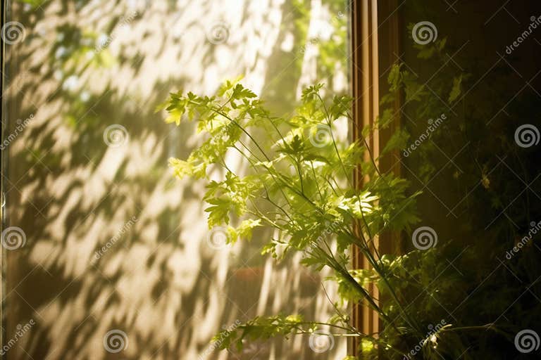 Sunbeam through a Clear Glass Window Stock Illustration - Illustration ...