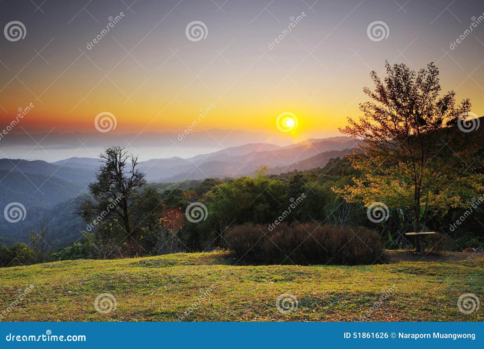 Sunbeam at dawn stock photo. Image of scenics, plant - 51861626