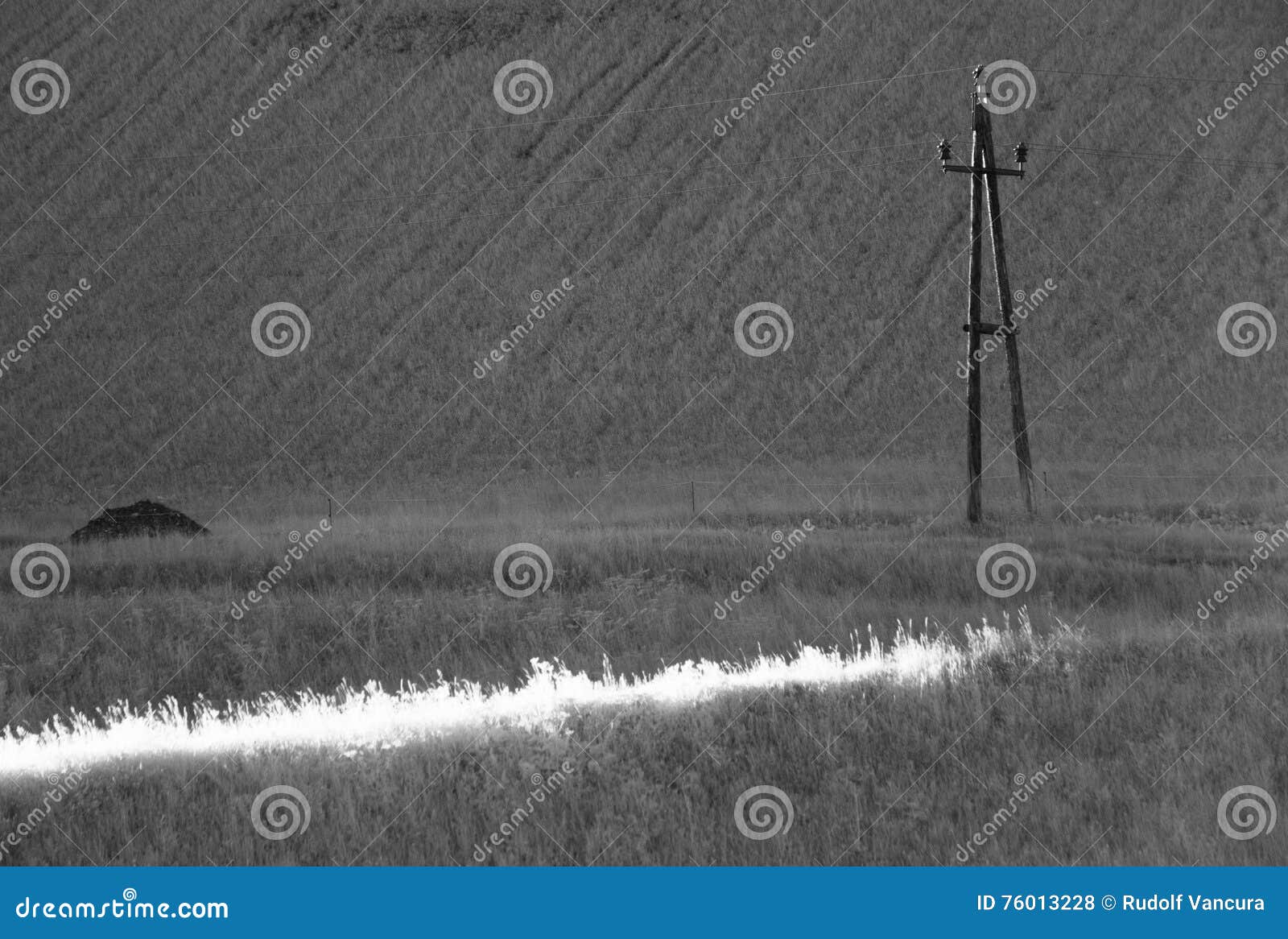 Sunbeam in Field with Utility Pole Stock Photo - Image of hill, field ...