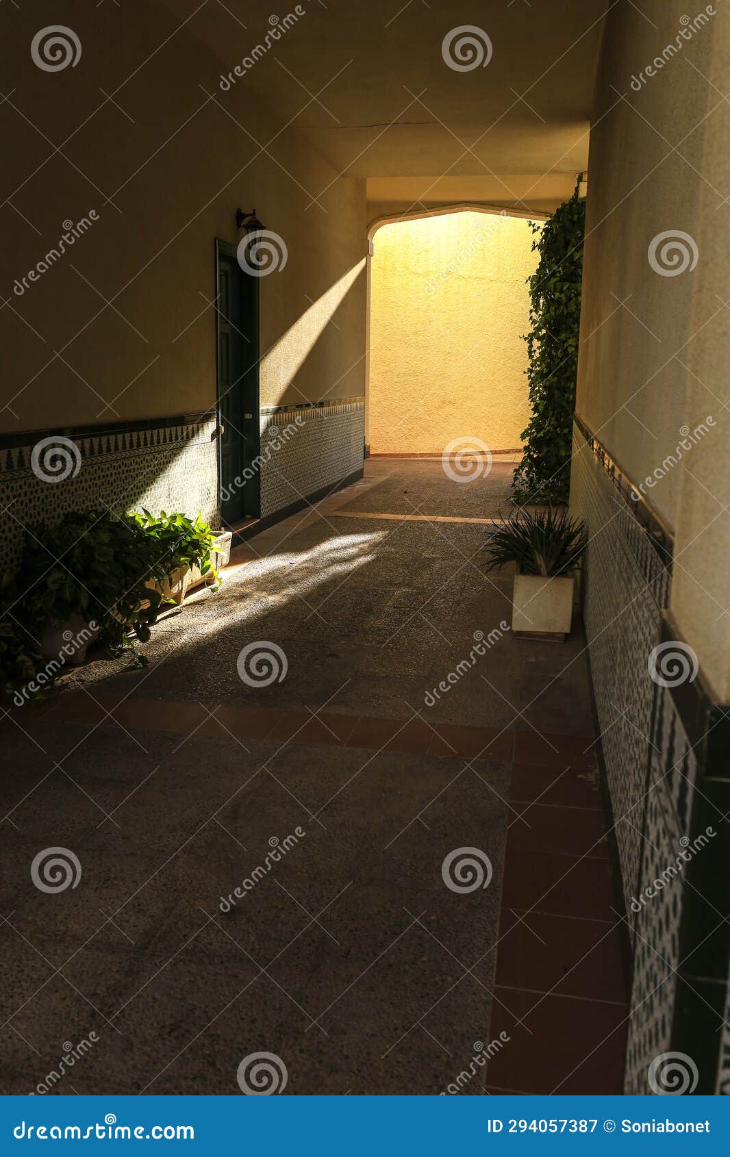 Sunbeam on a Plant in a Halfway of a House Stock Image - Image of ...
