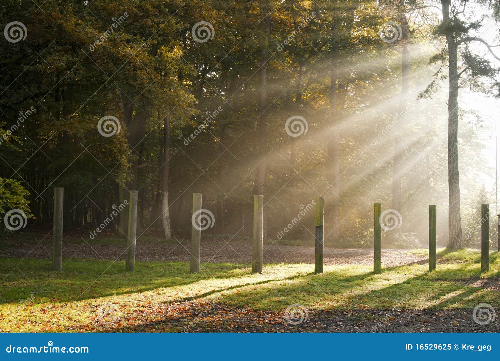 Sunbeams stock image. Image of colorful, colors, natural - 16529625