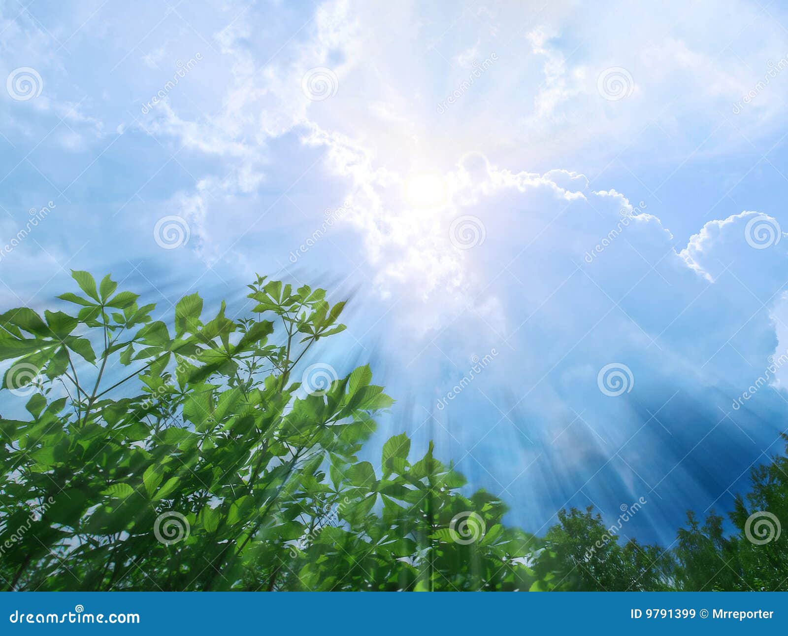 Sunbeams stock image. Image of perspective, heaven, leaves - 9791399