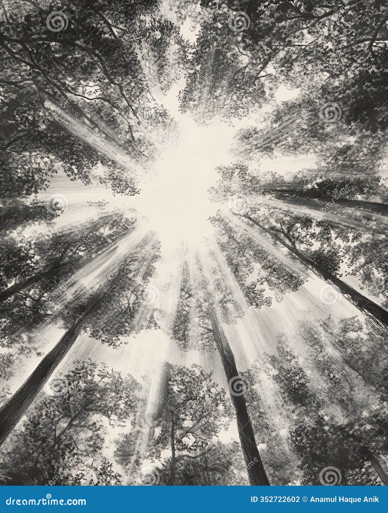 Sunbeams through Forest Canopy Nature Trees Sunlight Drawing Art Stock ...