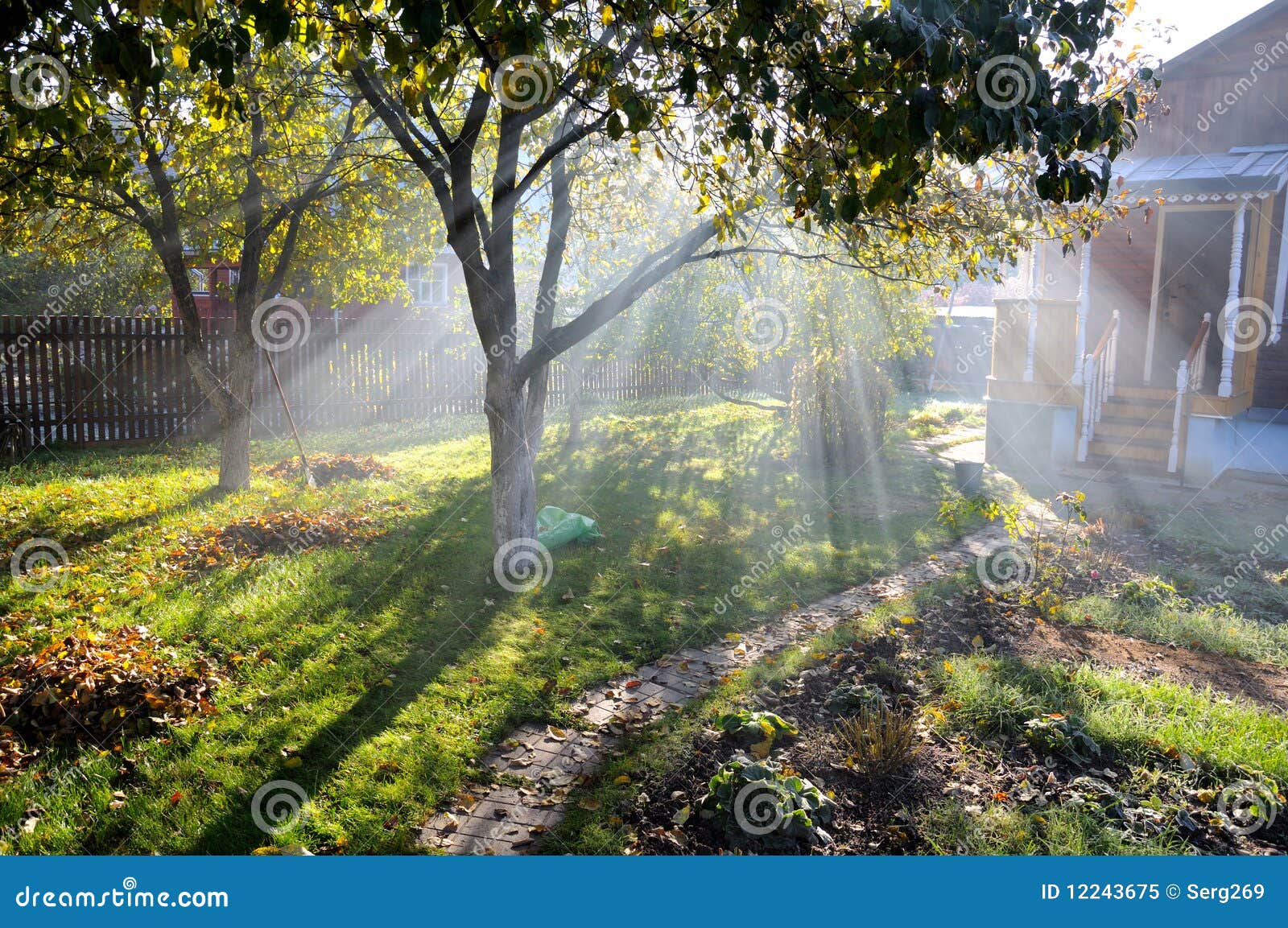 Sunbeams Shine through Autumn Trees Stock Image - Image of autumn, lawn ...